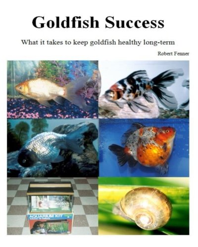 Goldfish Success: What it takes to keep goldfish healthy long-term ...