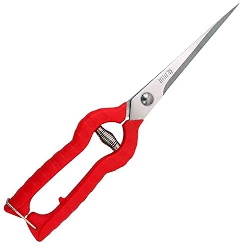 Extra Long Edge Stainless Steel Pruning Shears Fruit Trees Bonsai Sharp ...