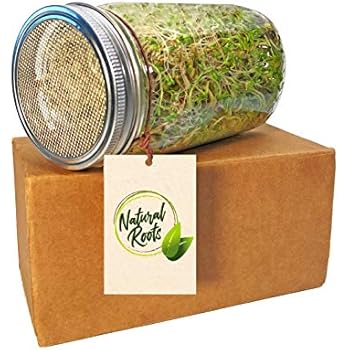 Amazon.com : Seed Sprouting Jar Kit - 2 Sprouter Mason Jars with Screen ...