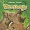 Amazon.com: Warthogs (Blastoff! Readers: Animal Safari) (Blastoff ...