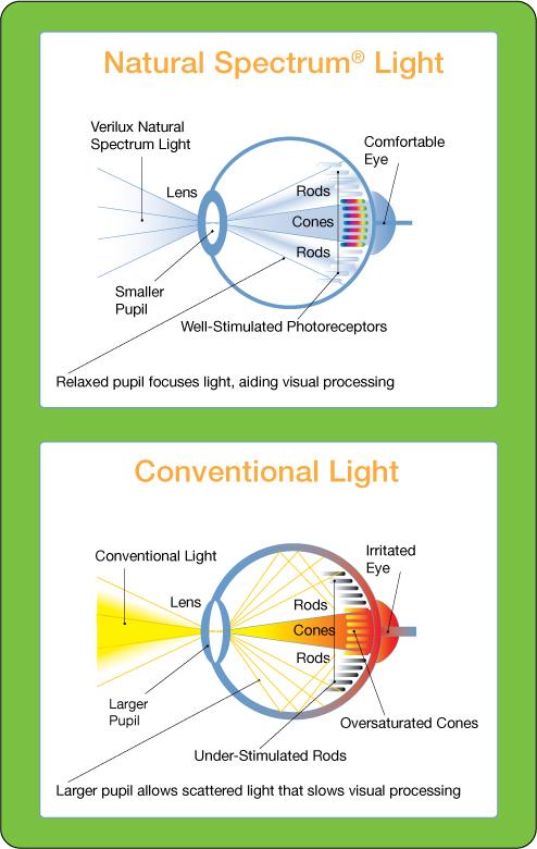 Amazon.com: Verilux Heritage Natural Spectrum Deluxe Floor Lamp ...