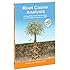 Root Cause Analysis: The Core of Problem Solving and Corrective Action ...