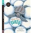 One Tiny Turtle with Audio: Read, Listen, & Wonder: Davies, Nicola ...