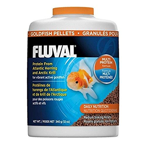 Fluval Goldfish Pellets, Goldfish Food for Vibrant Active Fish. in Oman ...