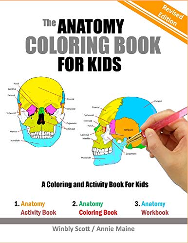 The Anatomy Medical Book for Kids: A Human Anatomy Atlas, Coloring ...