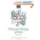 Amazon.com: Molecular Biology of RNA (9780199671397): David Elliott ...