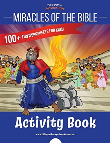 Miracles of the Bible Activity Book: Reid, Pip, Adventures, Bible ...