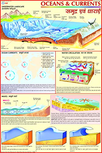 Ocean & Current - Geography Charts - Price History