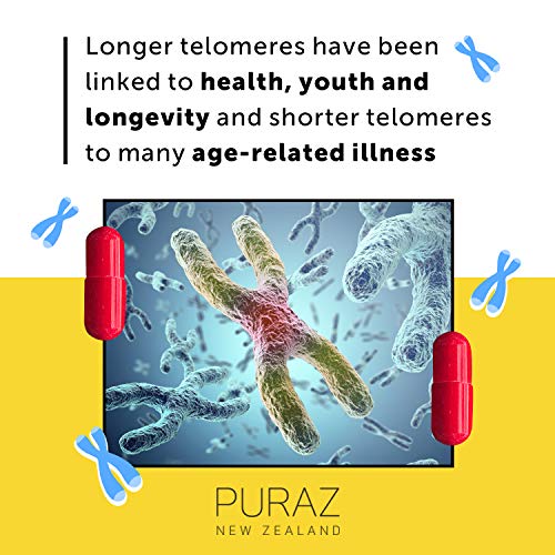 Puraz Telomere Supplements with Potent Astragalus Root Extract for ...