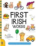 Irish Alphabet: Rickey Pittman, Connie McLennan: 9781589807457: Amazon ...
