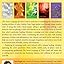 The Secret Language of Color Cards: Amazon.de: Inna Segal ...