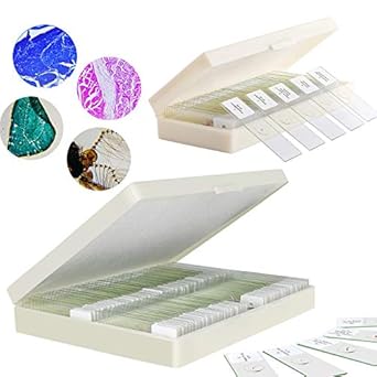 100 Pcs Prepared Microscope Slides Plus 30 Pcs Slides with Specimens ...