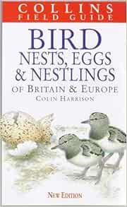 Nests, Eggs, and Nestlings: Harrison, Colin: 9780002193351: Amazon.com ...