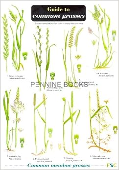 Guide to Common Grasses: Amazon.co.uk: Mark Gardener, Carol Roberts ...