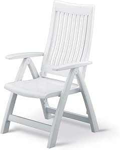 Amazon.com : KETTLER Roma Resin High Back Chair : Resin Chairs : Patio ...