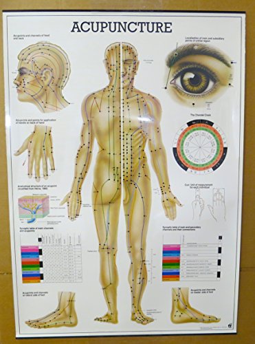 Human Acupuncture Chart: Amazon.com: Industrial & Scientific