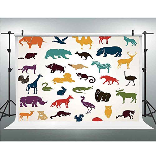 Photography Studio Background Zoo Photography Backdrops 10x10ft Big Set ...