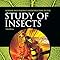 Amazon.com: Borror and DeLong's Introduction to the Study of Insects ...