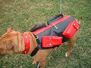 Full Body Exercise Weighted Dog Vest Helps Build Strength, Anxiety ...