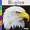 Seedlings: Eagles: Riggs, Kate: 9781628320411: Amazon.com: Books
