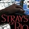 Amazon.com: Strays of Rio (9781771273138): Parzefall, Edith: Books