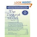 The Ziggurat Model A Framework for Designing Comprehensive ...