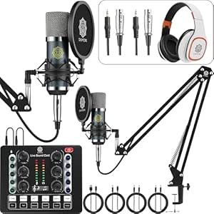 DIGIMORE Dual Condenser Microphone Kit for Singing with D-220 Sound ...