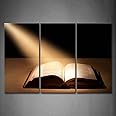 Amazon.com: Holy Bible Wall Art Christian Jesus Canvas Painting The ...