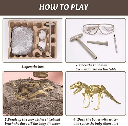 TOYSBBS Dinosaur Excavation Kit for Kids, Dino Fossil Dig Kits Dinosaur ...