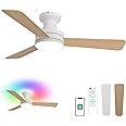 Amazon.com: Orison 42-Inch Ceiling Fans with Lights, Low Profile, Flush ...