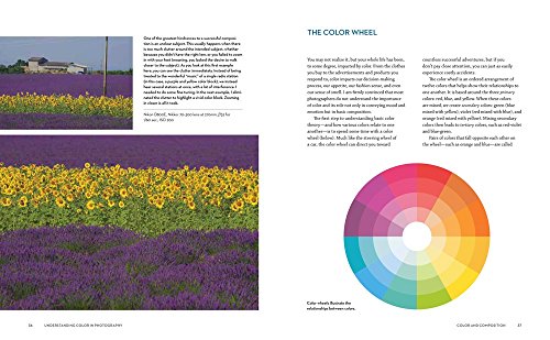 Understanding Color in Photography: Using Color, Composition, and Exposure to Create Vivid ...