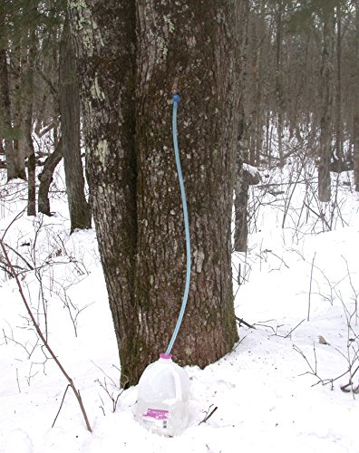 Maple Syrup Sap Drop Line Tapping Kit (10 Pack) - 5/16" Ecolo Taps + 36 ...