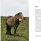 Horses: Amazon.co.uk: Nicola Jane Swinney, Janet Swinney: 9781472909848 ...