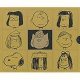 Amazon.com: The Complete Peanuts: 1999-2000 and Comics & Stories Gift ...