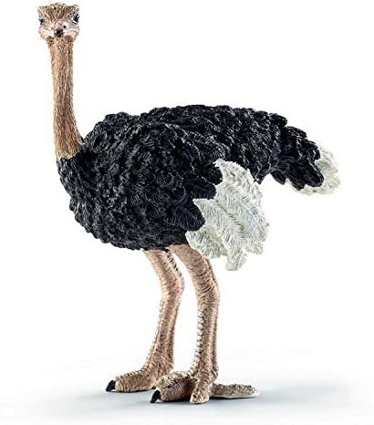 Collecta Ostrich Figure: Amazon.co.uk: Toys & Games