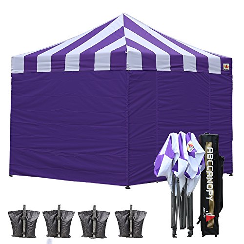 Buy ABCCANOPY Canopy Tent Popup Canopy 10x10 Pop Up Canopies Commercial ...