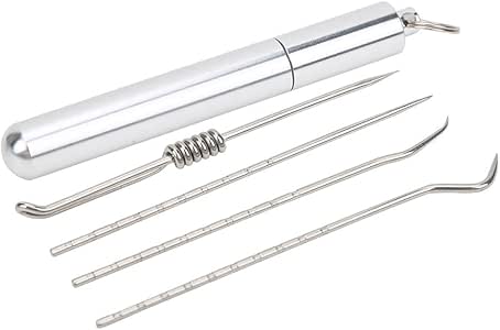 Amazon.com: YINUODAY 4PCS Metal Toothpick Set, Reusable Toothpick with ...
