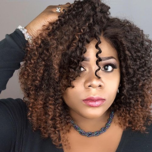 CBWIGS Fiber Hair Afro Kinky Curly Synthetic Lace Front Wigs Two Tone Ombre Brown Long Fluffy ...