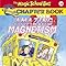 Amazing Magnetism (Magic School Bus Chapter Book #12): Rebecca Carmi ...