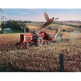 Amazon.com: Farmall Case IH Tractor Motivational Poster Art Print 11x14 ...