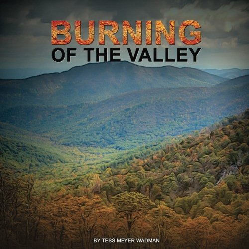 Burning Of The Valley: Wadman, Tess Meyer: 9781984358783: Amazon.com: Books