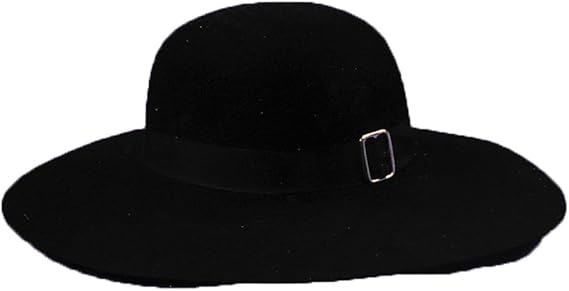 Amazon.com: Quaker Hat Sm Costume Accessory: Clothing