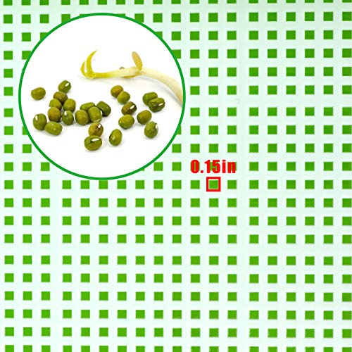 SUSHAFEN Seed Sprouter Tray Seed Bean Sprout Grower Soilless Seedlings ...
