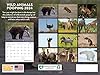 Wild Animals Pooping Calendar 2024 Wall Poop Monthly Calander Gag Gift ...