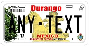 Amazon.com: Durango Mexico Placas License Plate: Car Electronics