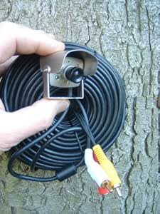 Amazon.com : Birdhouse Spy Cam Hawk Eye Birdwatching Camera : Bird ...