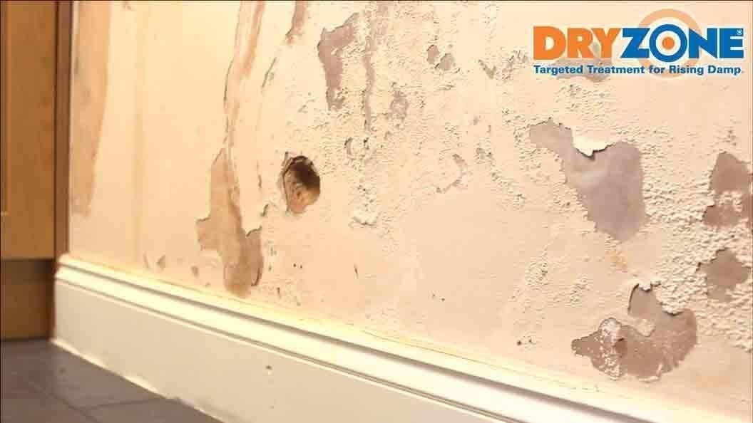 Dryzone Damp Proofing Cream 310ml – Damp Proof Injection Cream for ...