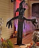 Creepy Moving Halloween Trees - The Green Head