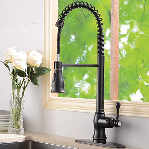 10 Best Kitchen Faucets You Can Buy (2019 Reviews) - Sensible Digs
