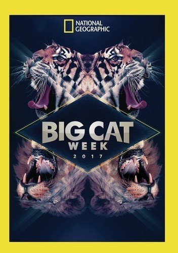 MOD CreateSpace Video Oman | Buy Online | Whizz Others